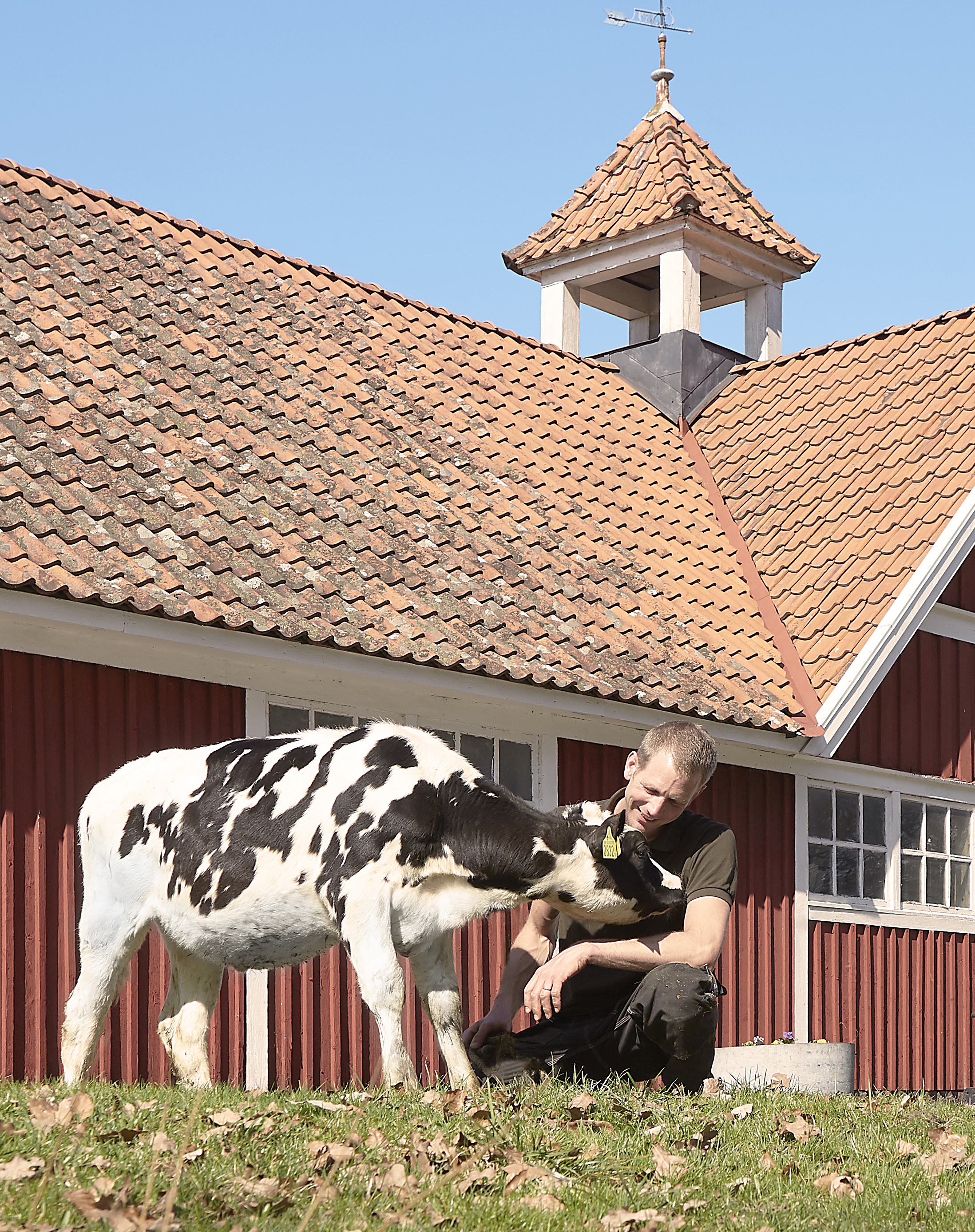 Välkommen till Bertegruppen